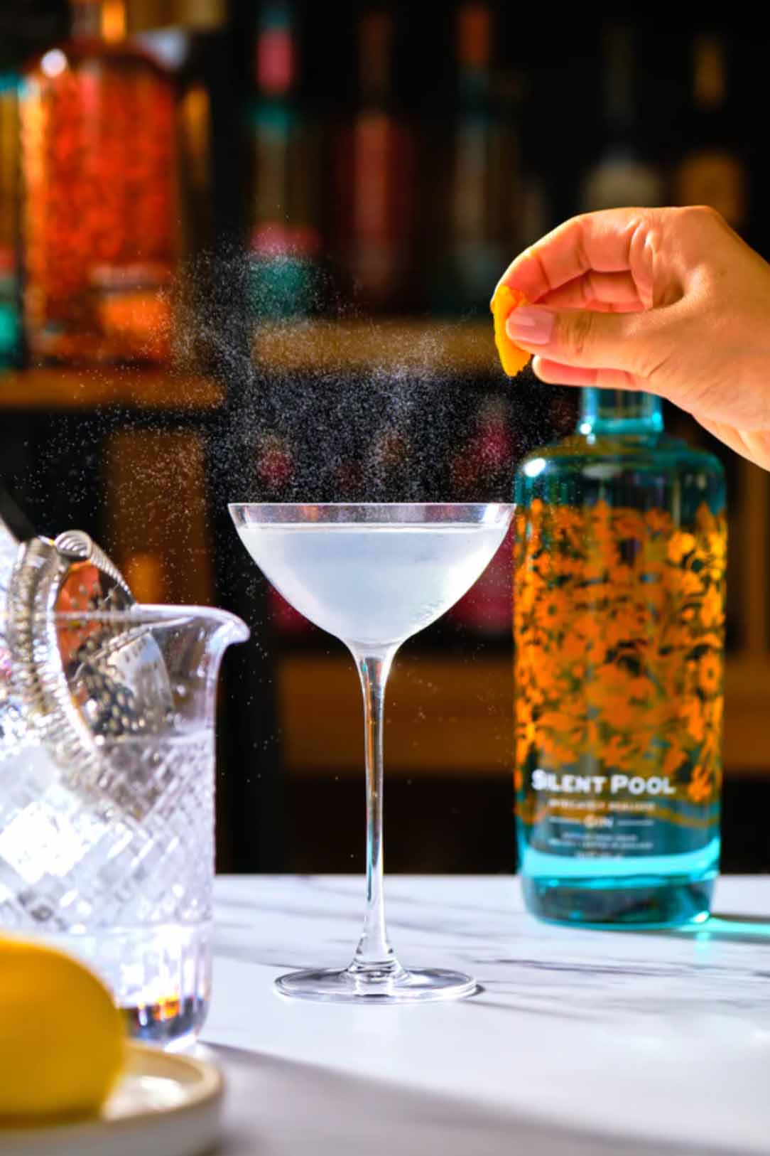 Silent Martini – Silent Pool Gin